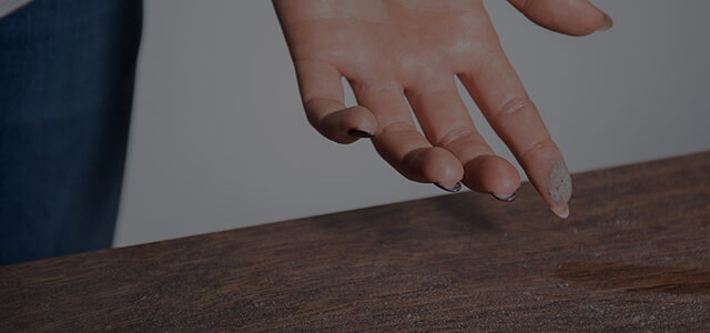 Dust Allergy – How to Manage House Dust Mite Allergy?